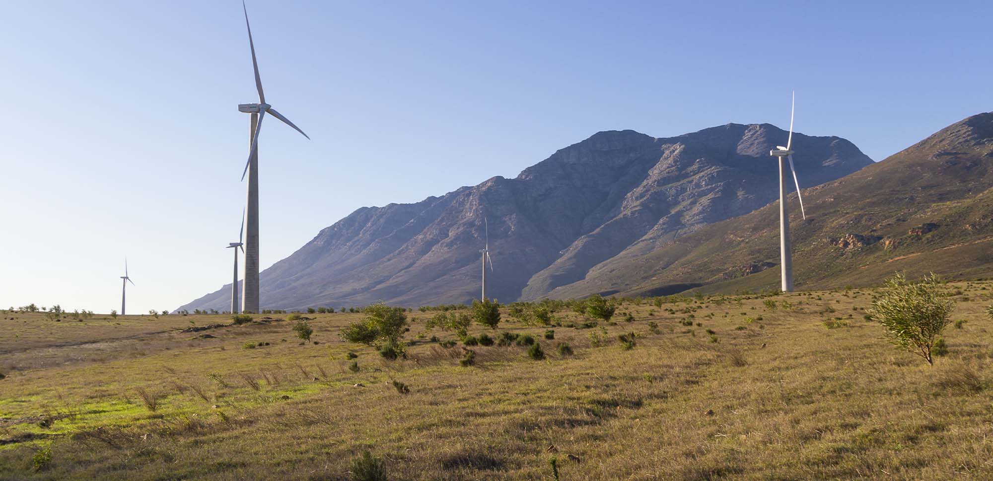 Entrepreneur and SMME Development program | ACCIONA: Sustainable ...